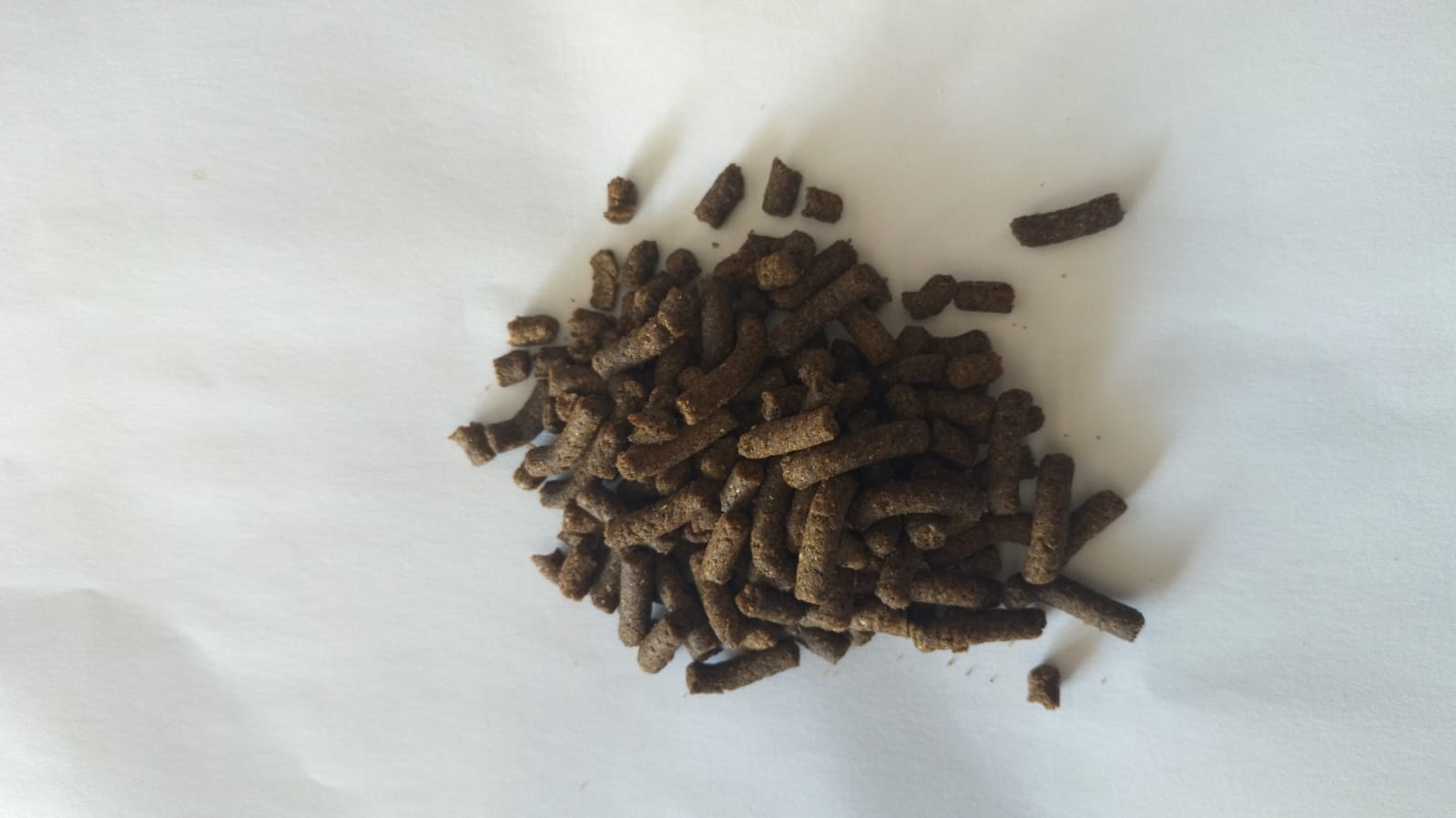 Carnivor sticks 4mm (sinking) 500g - Wicus Se Vis Kamer