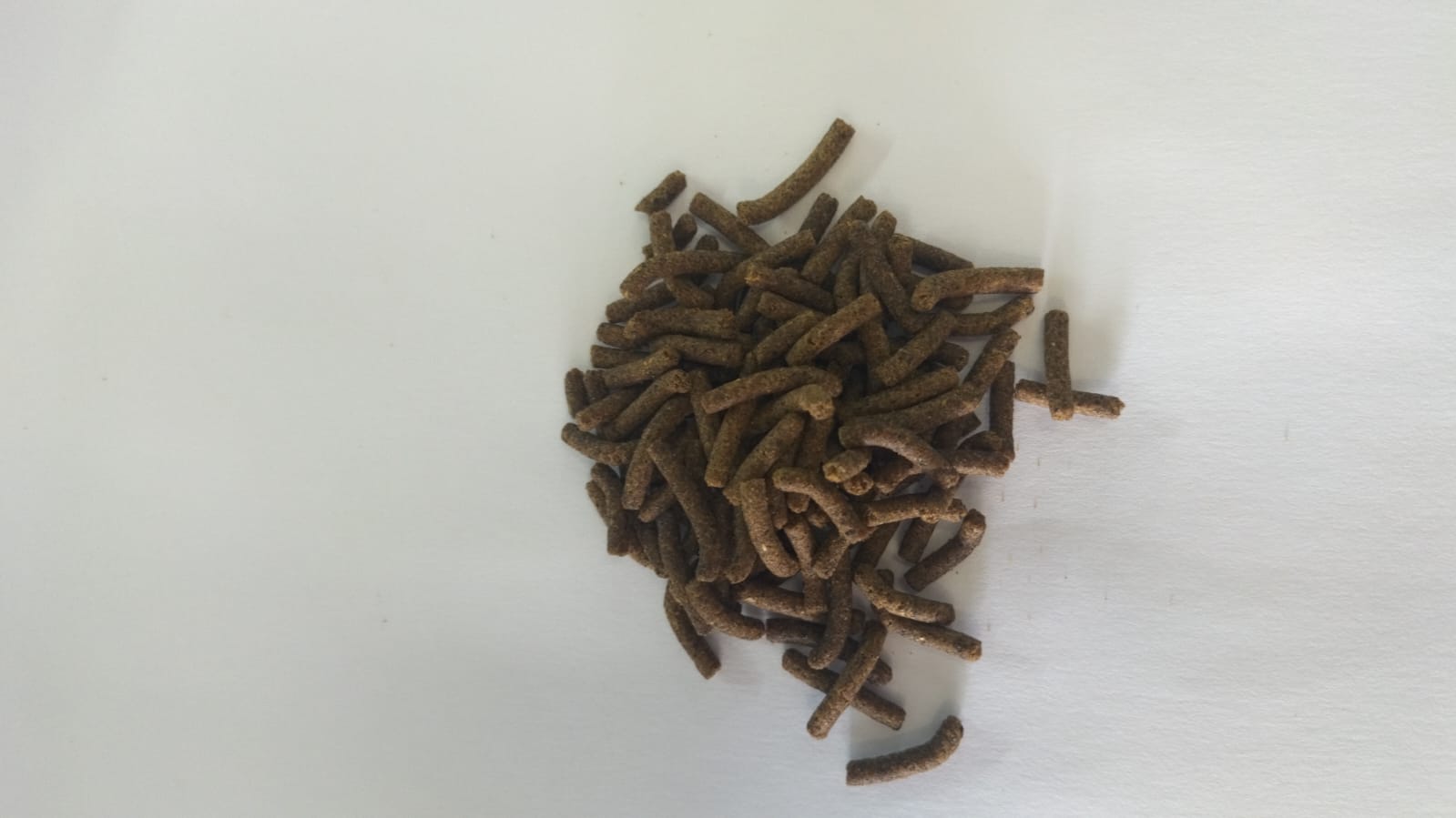 Carnivor sticks 4mm (sinking) 250g - Wicus Se Vis Kamer